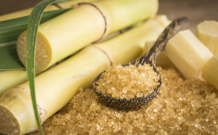 Adjustment of Nicaragua's Sugar Quota Enters into Force on 28 August ...