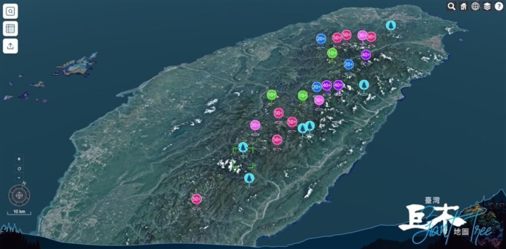 Taiwan research team unveils map of island's tallest trees|English News ...
