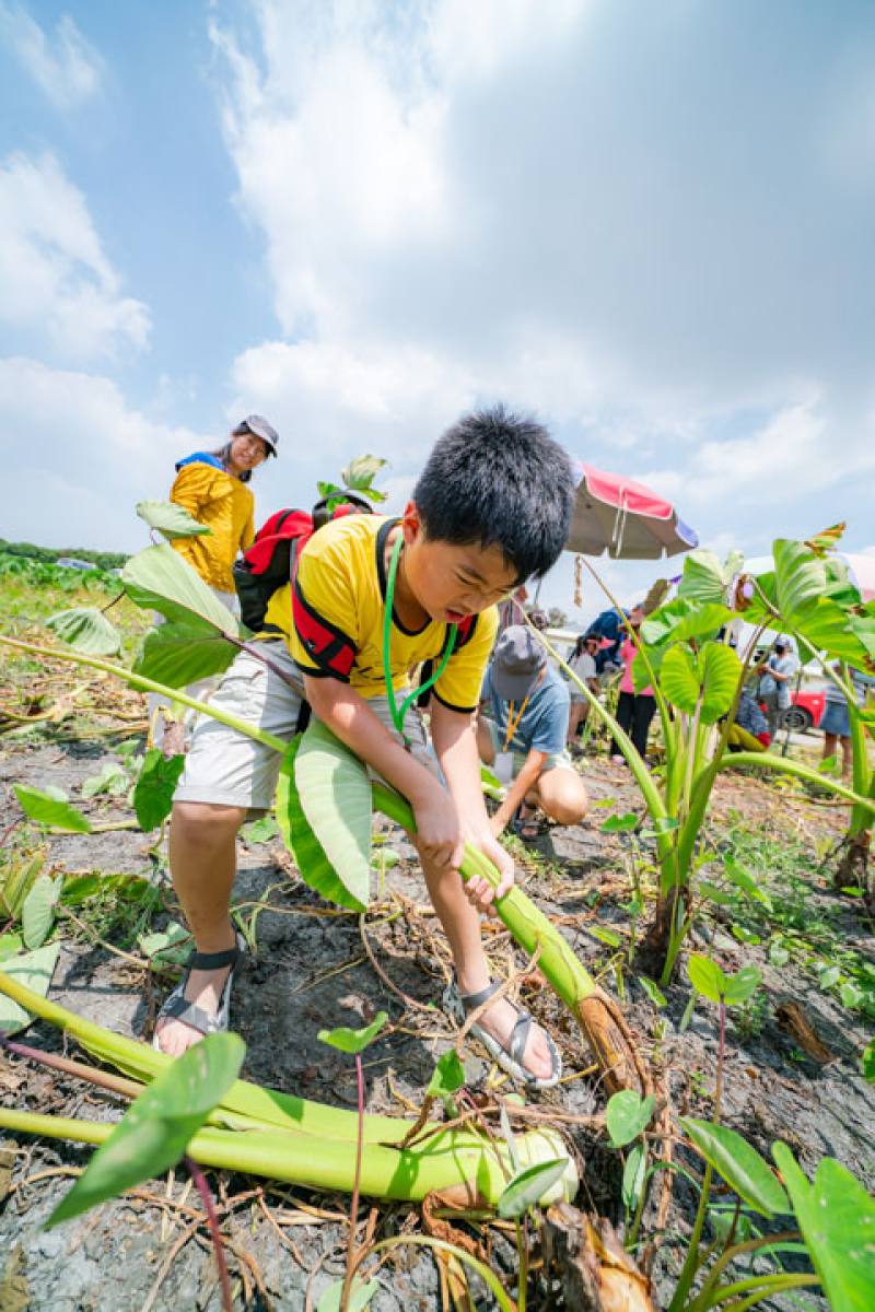 The Zhuoshui River: Mother of Taiwan's Agriculture and Industry|English ...