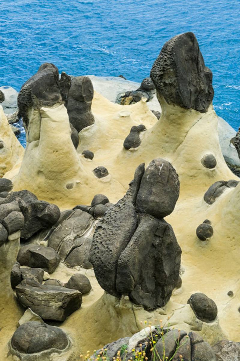 Imagining the Era of Hermosa: A Tour of Heping Island|English News | 僑務電子報