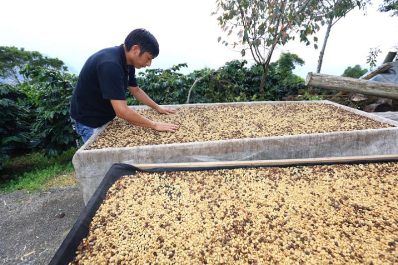The Sweet Taste of Premium Coffee: Making the Rounds of Taiwan's Coffee ...