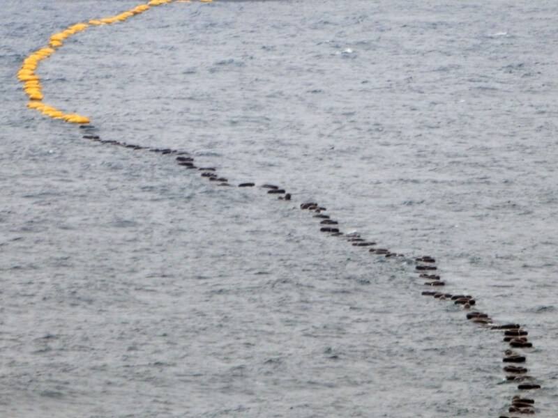 Chunghwa Telecom reassures cable services unaffected after failure ...