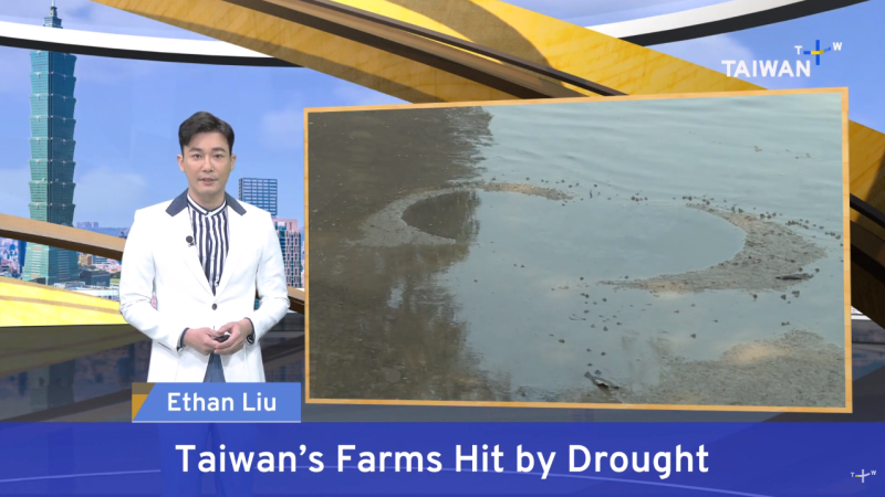 Taiwan's Farms Hit by Drought, News at 08:00, April 17, 2023|English ...