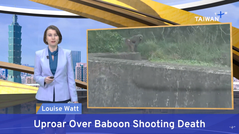 Uproar Over Baboon Shooting Death, News at 14:00, March 28, 2023 ...